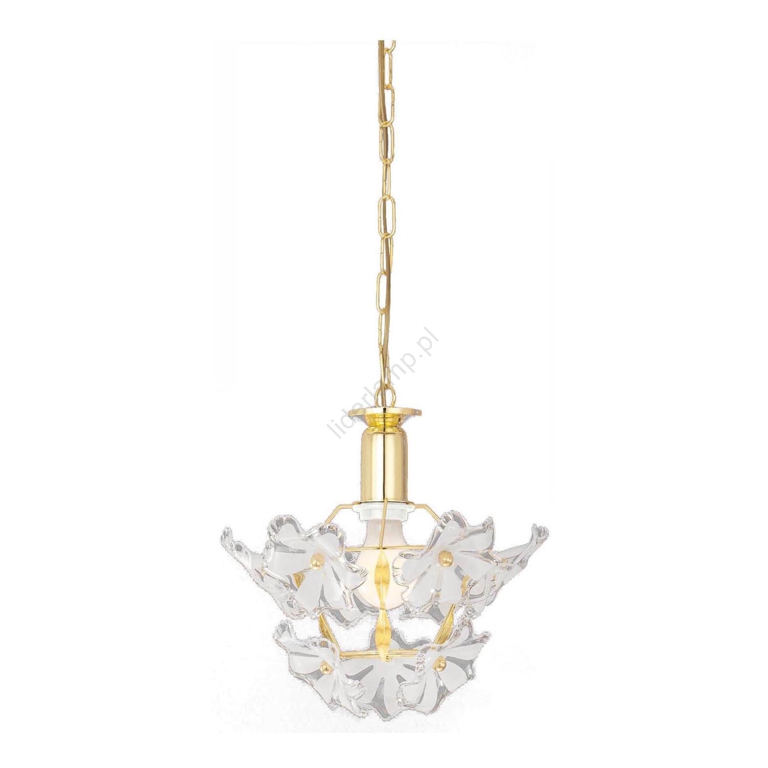 -33 % Rabat 97,00 zł