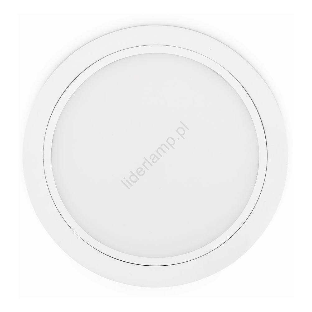 Philips - LED oprawa wpuszczana 1xLED/20W/230V